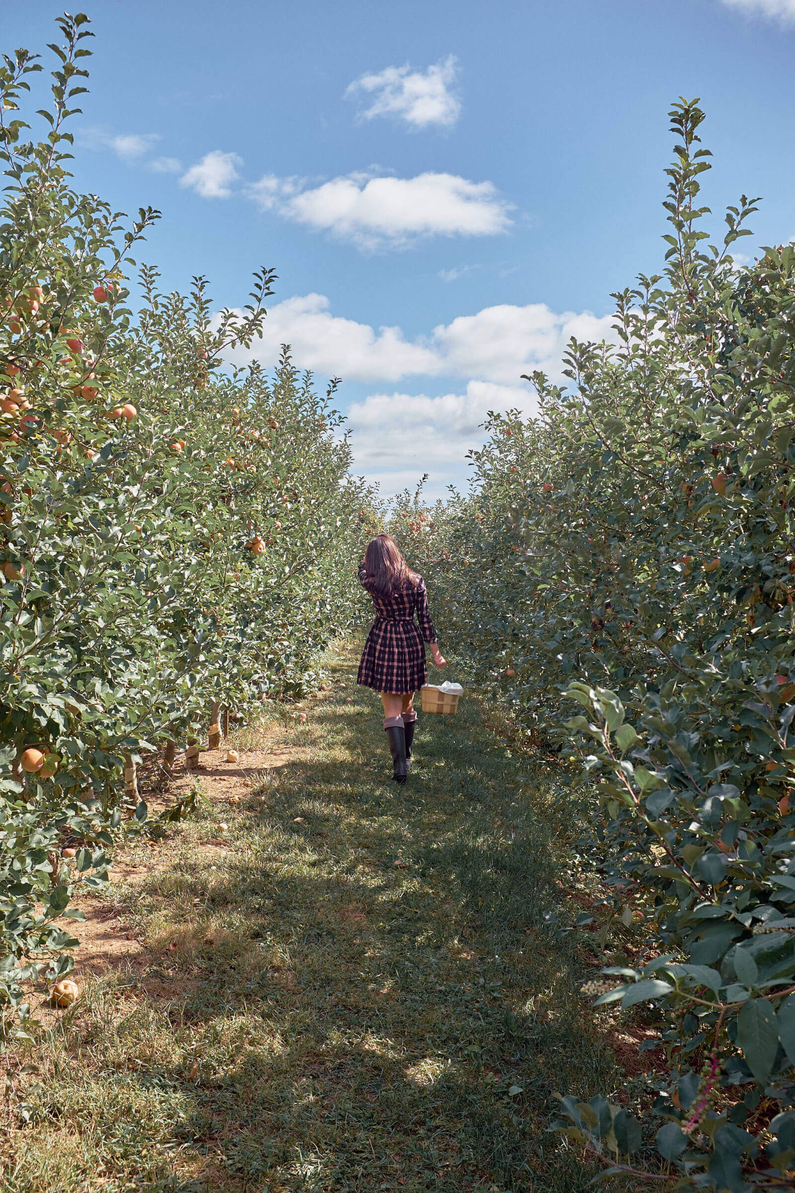 Fall is Just Within Reach! – She's So Bright