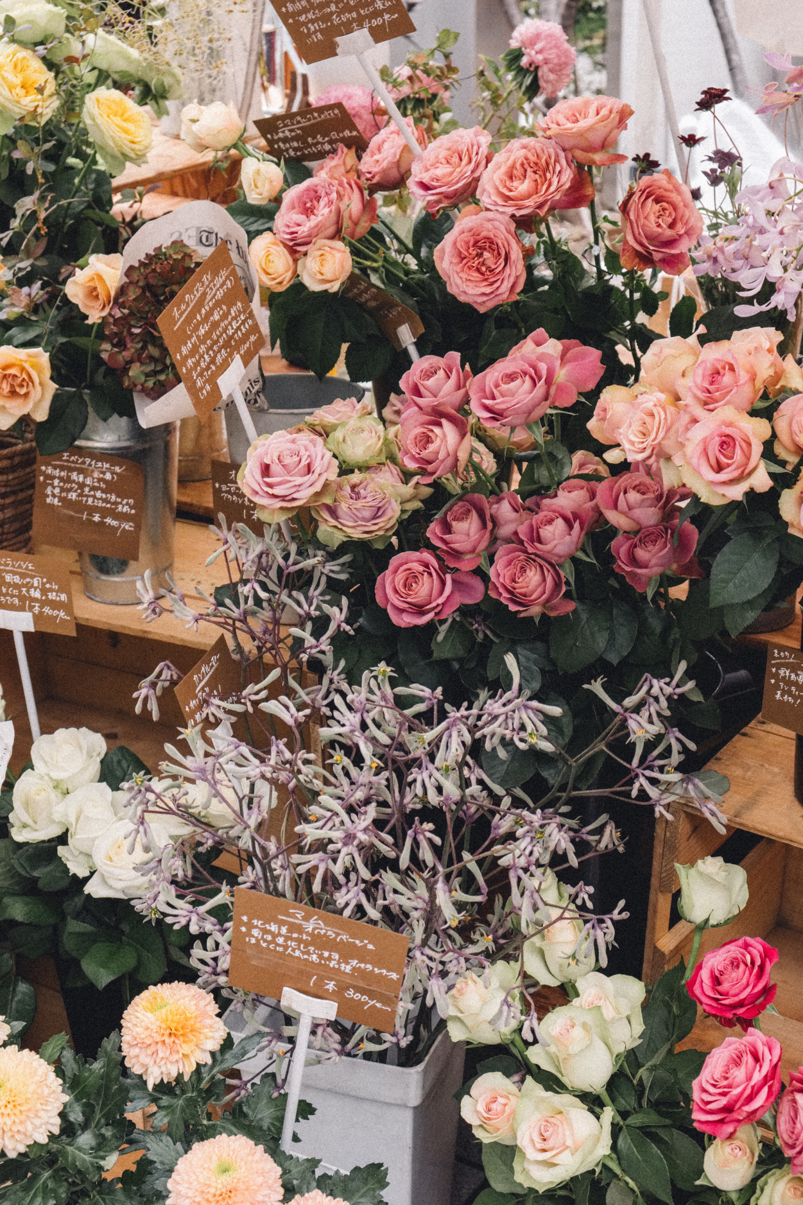 First Impressions of Tokyo – She's So Bright