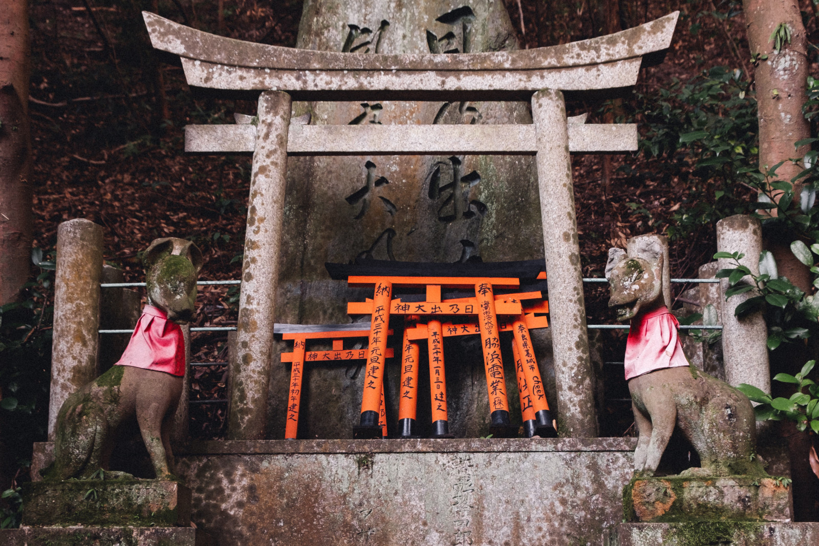 The Best Day at Kyoto’s Fox Shrine – She's So Bright